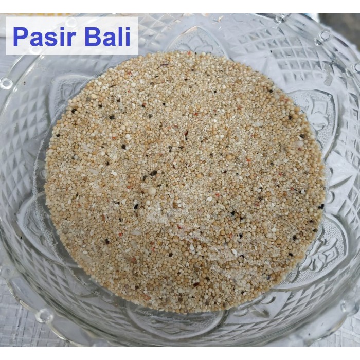 Jual Pasir Bali Sand Aquascape Pasir Pantai Mix Bali Media Aquascape ...
