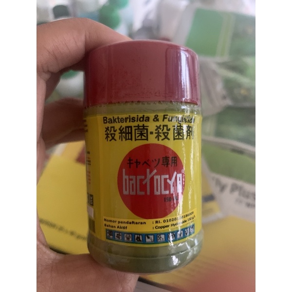 Jual Bactocyn 150AL 100ml bakterisida dan fungisida | Shopee Indonesia