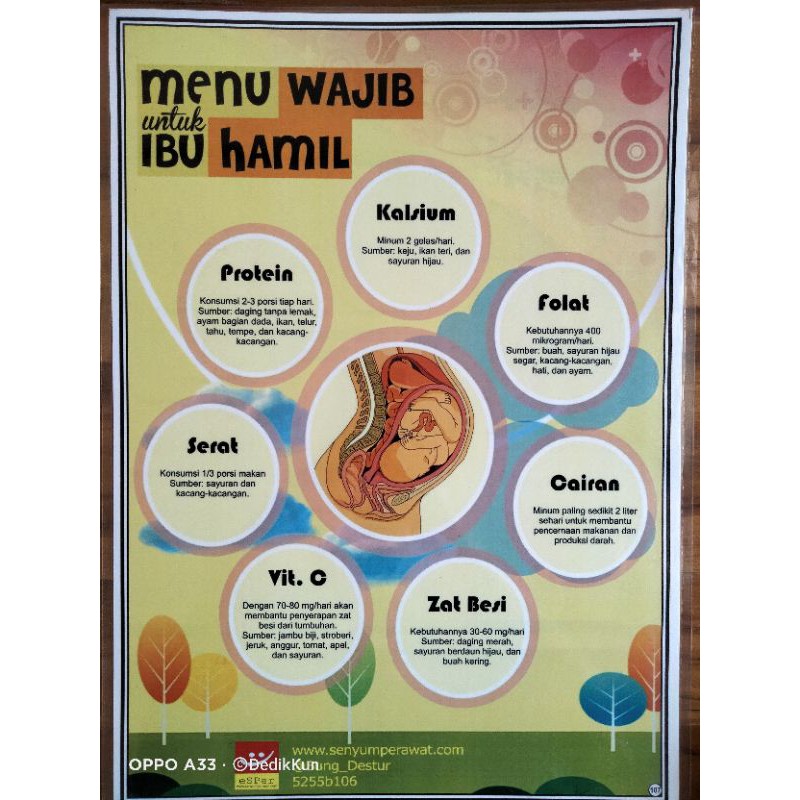Jual (107) POSTER KESEHATAN MENU WAJIB IBU HAMIL | Shopee Indonesia