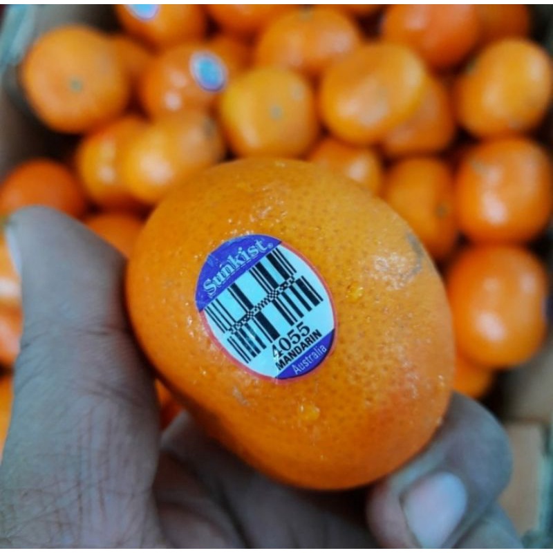 Jual jeruk honey murcot australia | Shopee Indonesia