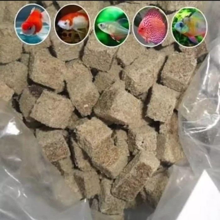 Jual Makanan Ikan Cacing Sutra Kering Tubifex Sutra Burayak isi 5 gram ...
