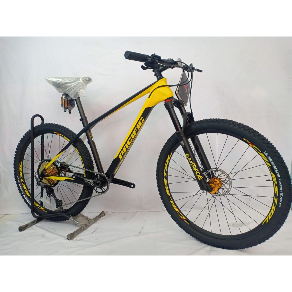 Jual Sepeda MTB 27.5 Pacific Armour DX Carbon 12 Speed | Shopee Indonesia