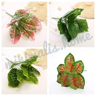 Jual Bunga Daun Terlengkap & Harga Terbaru Maret 2026 | Shopee Indonesia