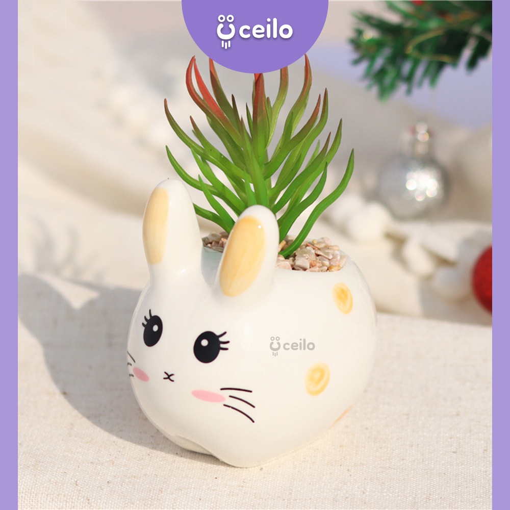 Jual CEILO Kaktus Sukulen Hias dengan Pot Lucu Artificial Premium ...