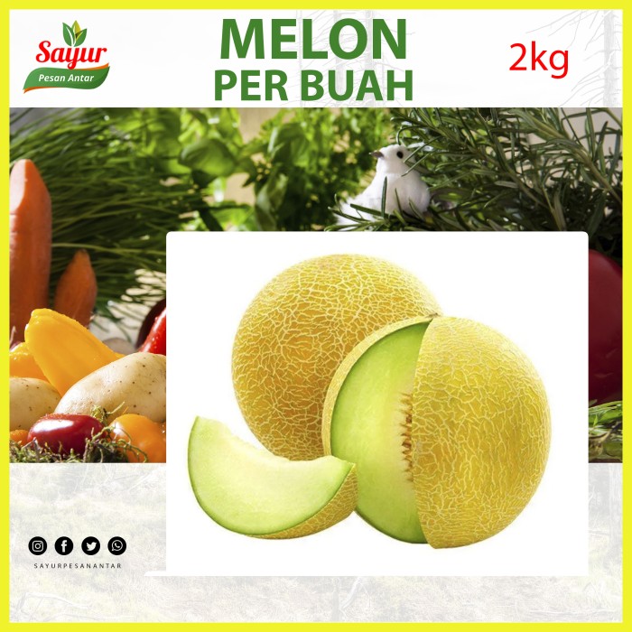 Jual Melon per buah (1,5 - 1,7 kg) | Shopee Indonesia