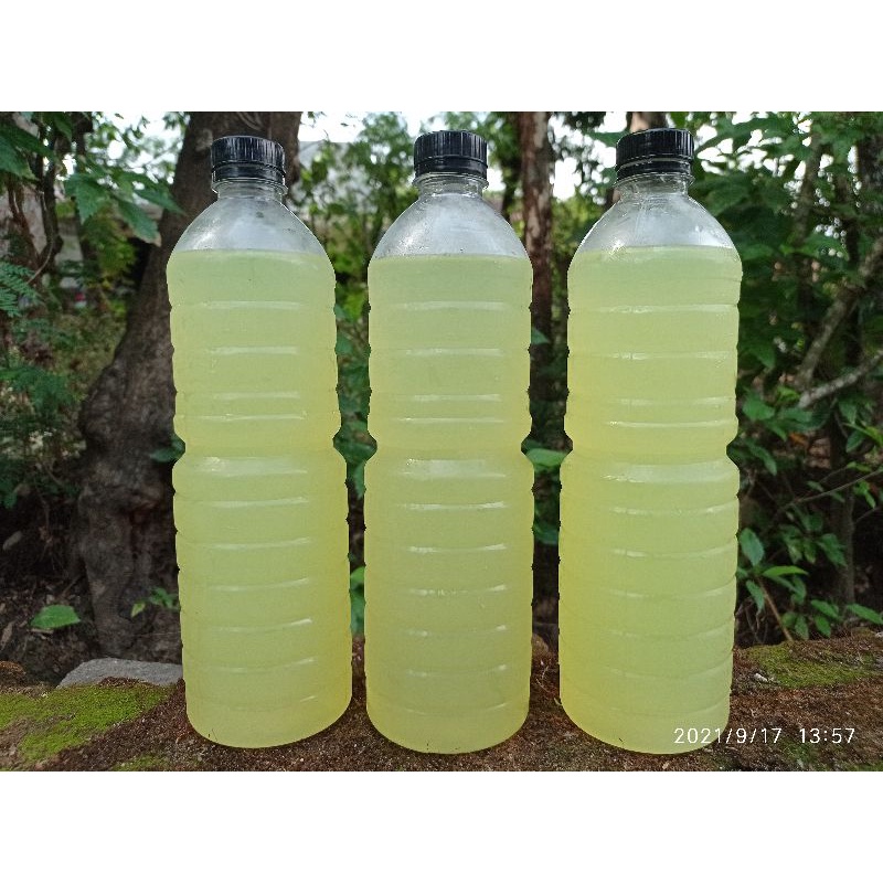 Jual Kefir Whey 1 liter Probiotik 100% susu sapi murni fermentasi bibit ...