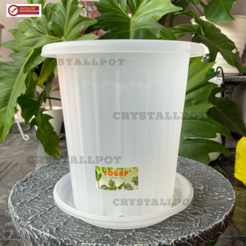 Jual POT BUNGA TANAMAN TINGGI YPT 13 YOGAP BENING BAHAN TEBAL + TATAKAN ...