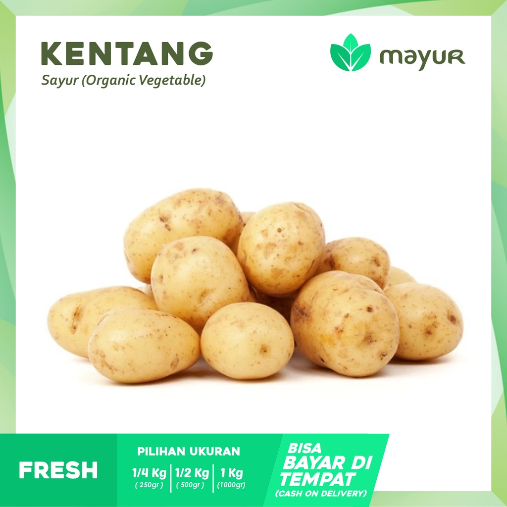 Jual Kentang Segar ( 250gr | 500gr | 1000 ) | Shopee Indonesia