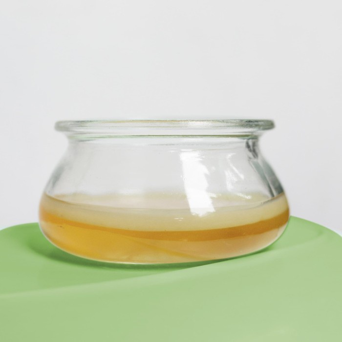 Jual TEH-DAUN- SCOBY BIBIT SUPER KOMBUCHA, JAMUR TEH TEBAL, KOMBUCHA ...