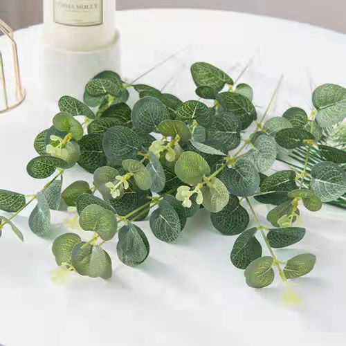 Jual HAPPY TIME DAUN DOLLAR 125 DOLAR DAUN BUNGA PLASTIK PALSU MURAH ...