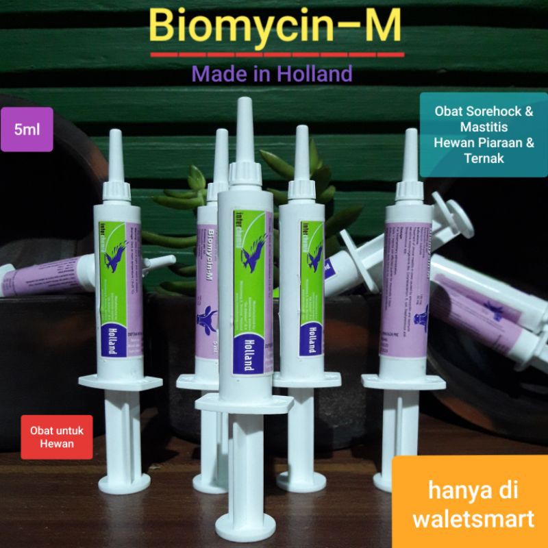 Jual Biomycin - M Obat Sorehock & Mastitis Masa Laktasi pada Sapi ...