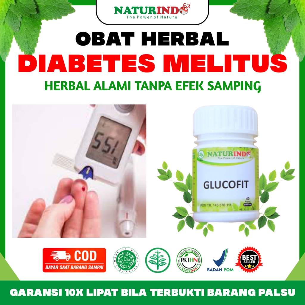Jual Obat Herbal Diabetes Ampuh Menurunkan Gula Darah Paling Ampuh ...