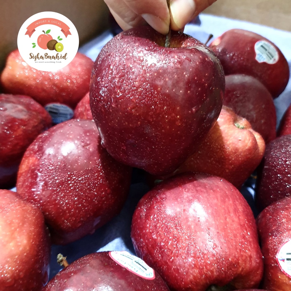 Jual Apel Red Delicious | Apel Washington | APEL MERAH - APEL IMPORT ...