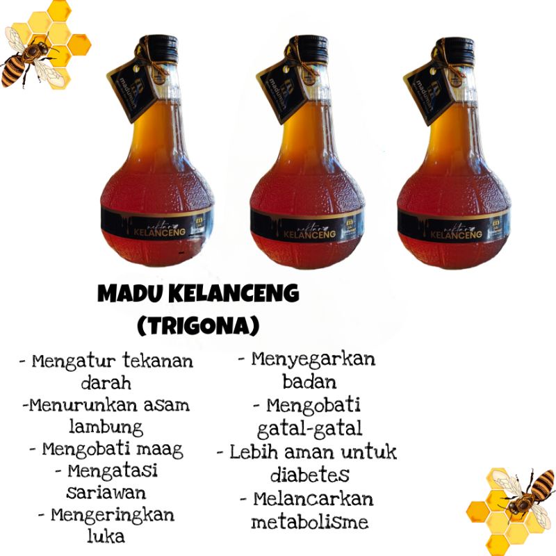 Jual MADU MURNI ASLI BERSANAD MADU KELANCENG TRIGONA MADU KLANCENG 450 ...