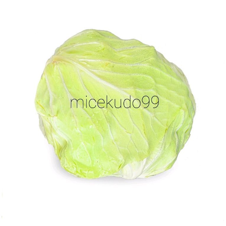 Jual SAYUR KOL PUTIH SEGAR / KUBIS FRESH WHITE CABBAGE BALI | Shopee ...