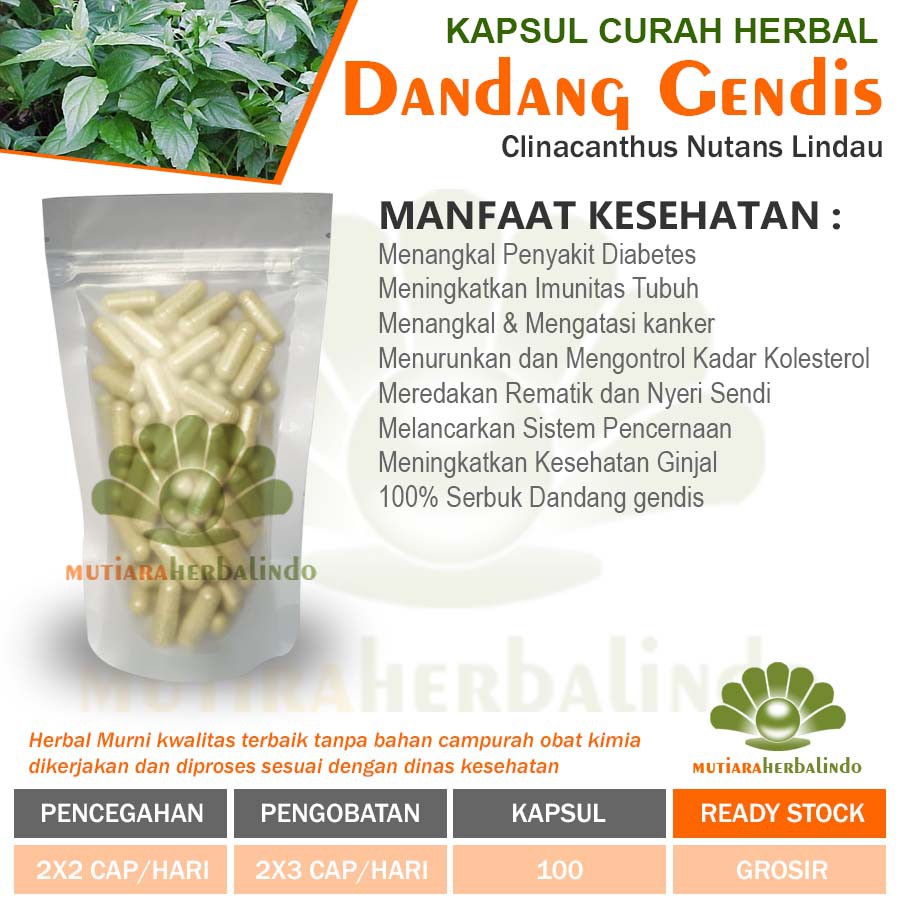 Jual DANDANG GENDIS 100 Kapsul Herbal Diabetes Kolesterol Ginjal ...