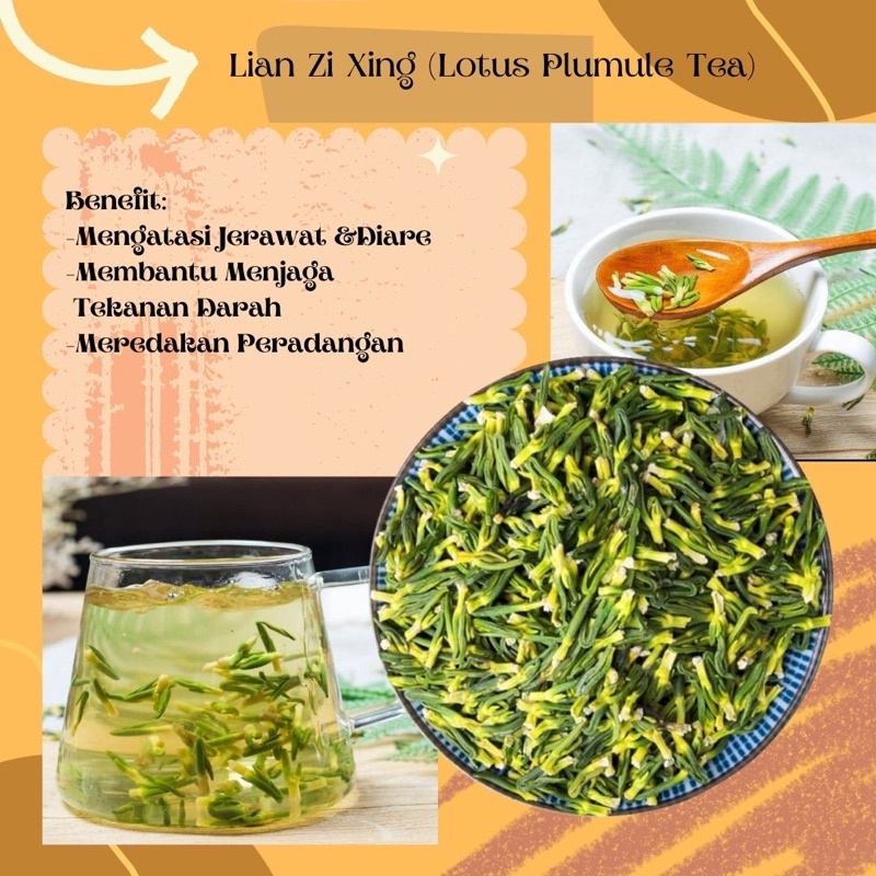 Jual Lotus Plumule tea lian zi xin lian zhi xing teh lotus plumule ...