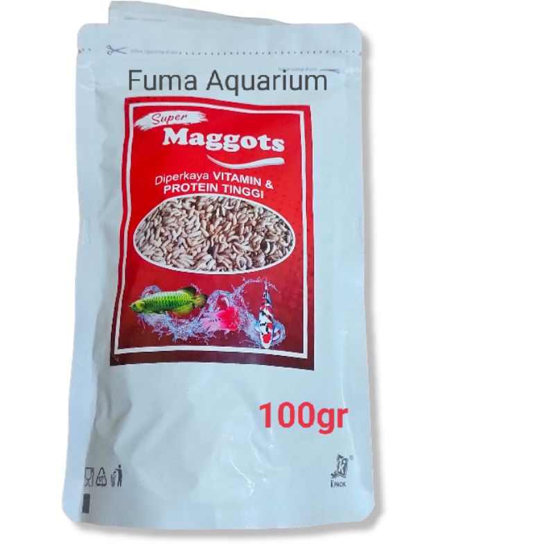 Jual SUPER MAGGOTS PREMIUM MAGGOT BSF Grade A Kering 100gr Pakan Channa ...