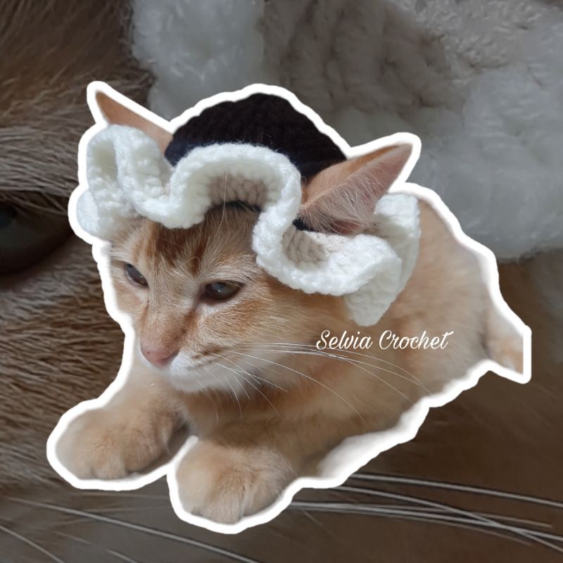 Jual TOPI KUCING RAJUT/TOPI HIAS KUCING/CAT BUCKET HAT | Shopee Indonesia