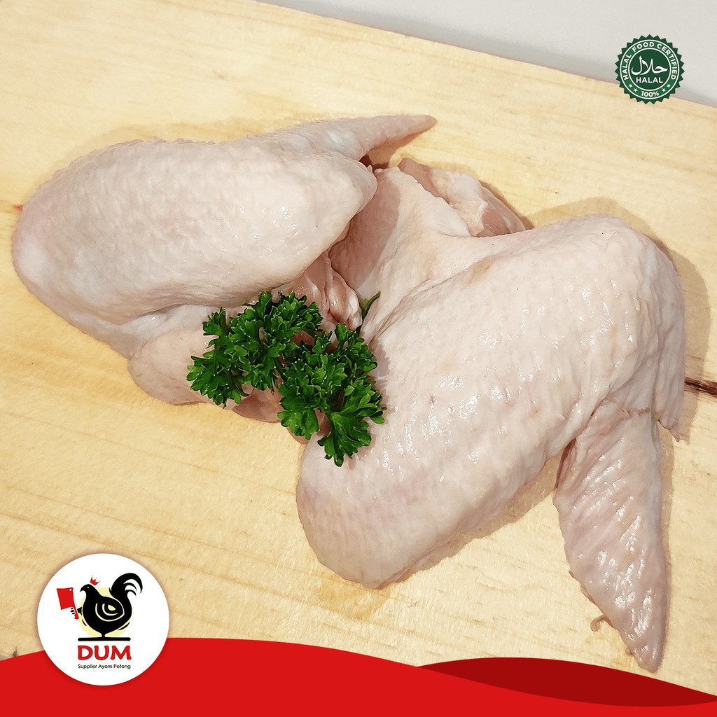 Jual Sayap Ayam Fresh/ Ayam Negeri/ Ayam Broiler | Shopee Indonesia