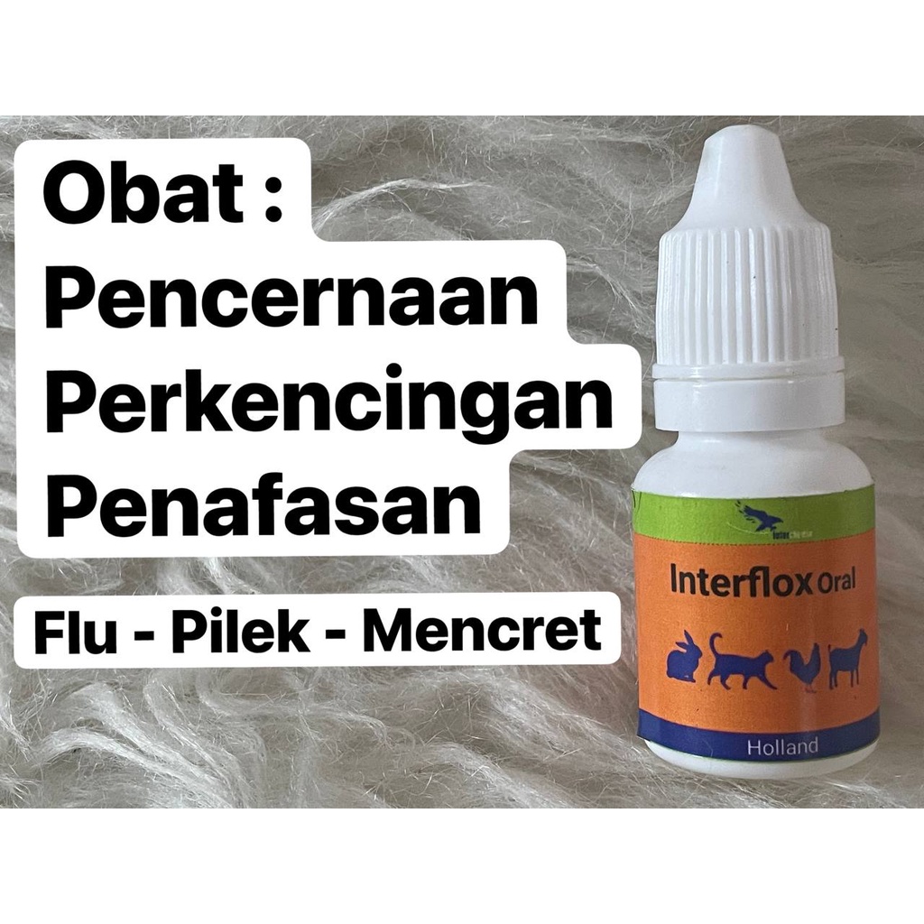 Jual Interflox Oral Obat Flu Obat Mencret Hewan Pencernaan Pernafasan ...