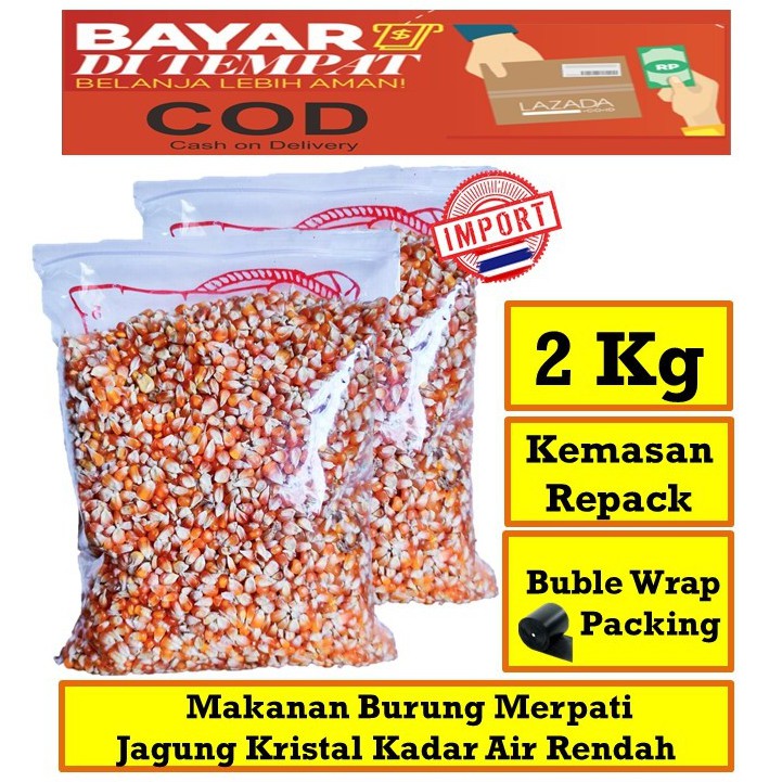 Jual JAGUNG KRISTAL IMPORT 2 kg PILIHAN BEBAS KUTU PAKAN MAKANAN BURUNG ...