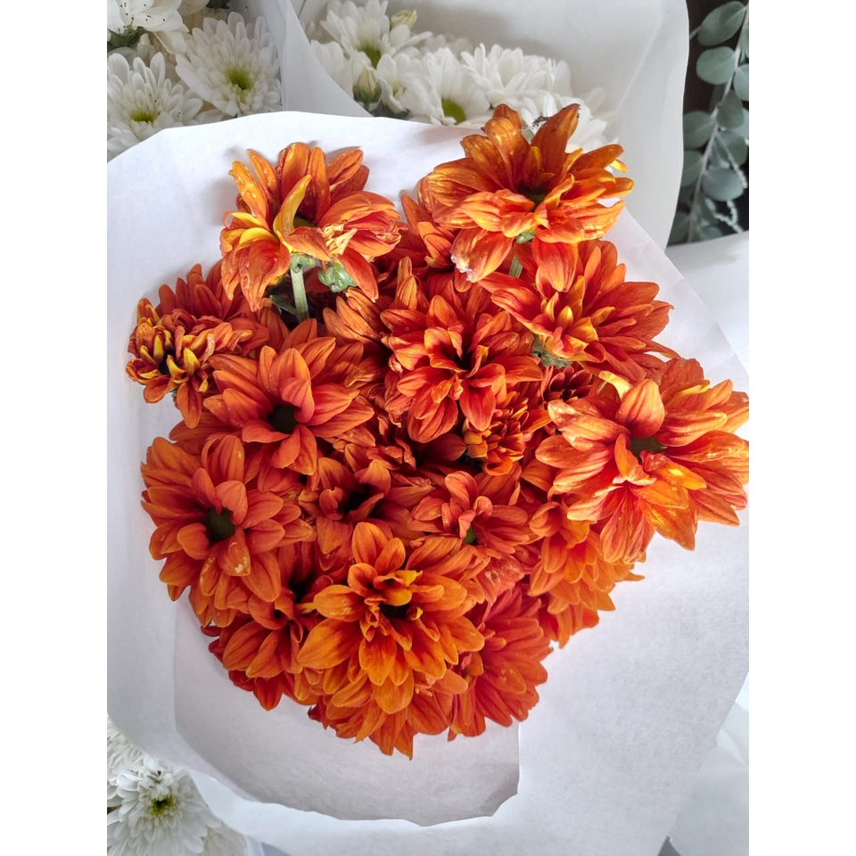 Jual Bunga ASTER Potong / Segar Warna ORANGE per ikat 10 batang Murah ...
