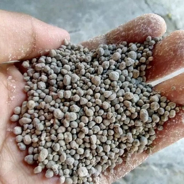 Jual pupuk TSP SP36 Grosir Pupuk TSP - SP36 Pupuk Sp-36 /Super-Phospat ...