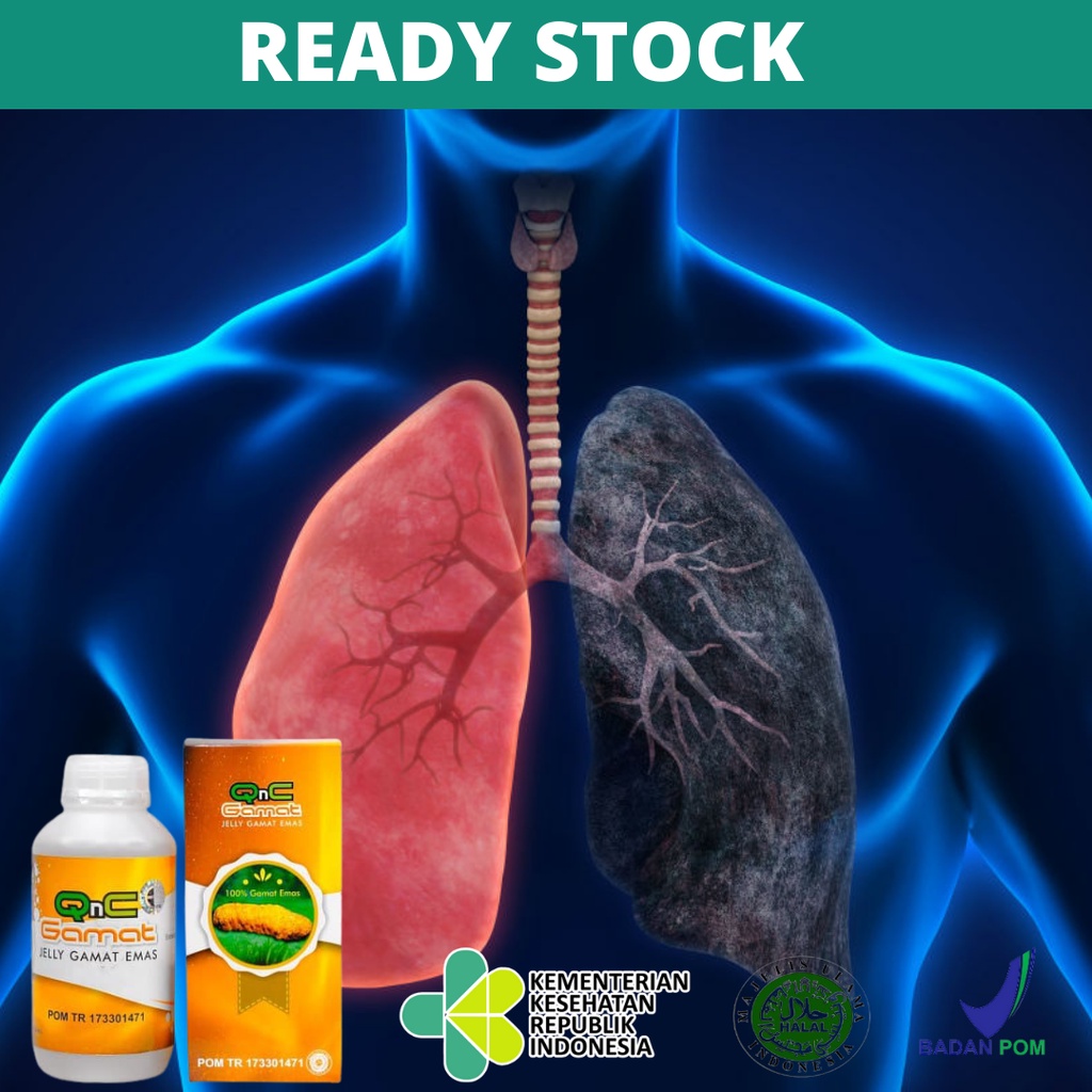 Jual Obat Pembersih Cairan di Paru Paru, Gurah Lendir Paru Paru ...