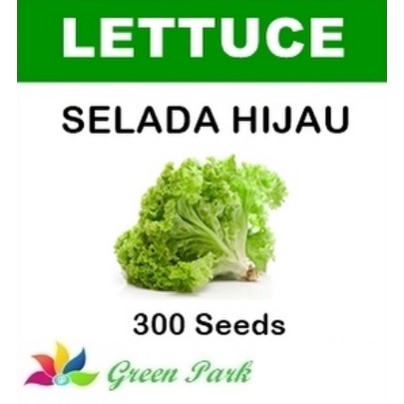 Jual Benih Selada Hijau Mini Pack 300 Biji - GP | Shopee Indonesia