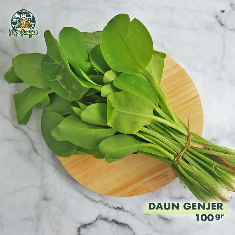 Jual DAUN GENJER FRESH Papapangan - 70 gram | Shopee Indonesia