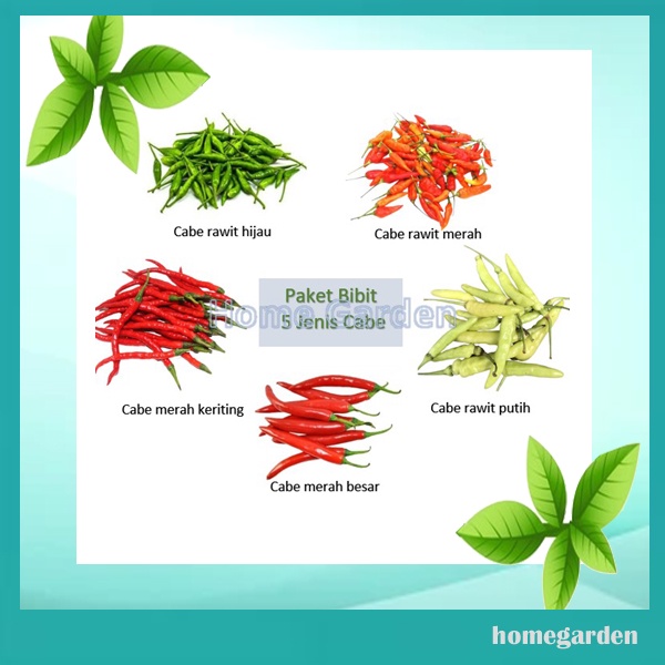 Jual Benih Cabe 5 Jenis Paket Bibit Cabe Tanaman Sayuran Cabe | Shopee ...