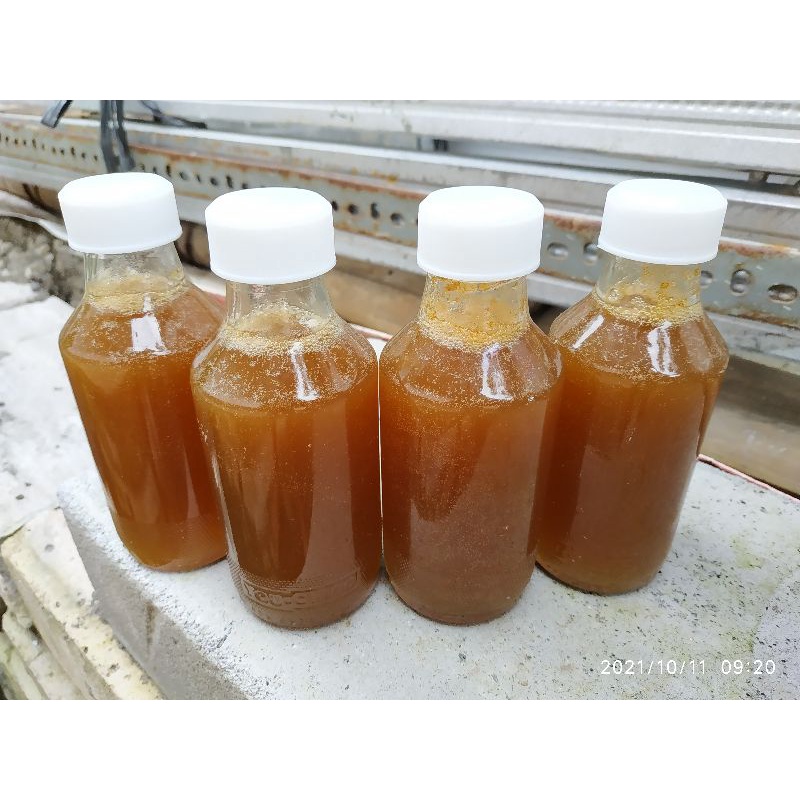 Jual MADU Lanceng, Klanceng, Kelanceng, Trigona, Kelulut Murni 100% ...