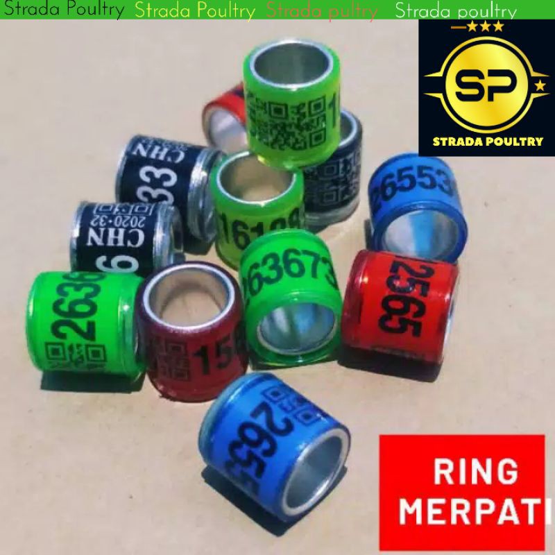 Jual Ring Merpati Import 2024 | Shopee Indonesia