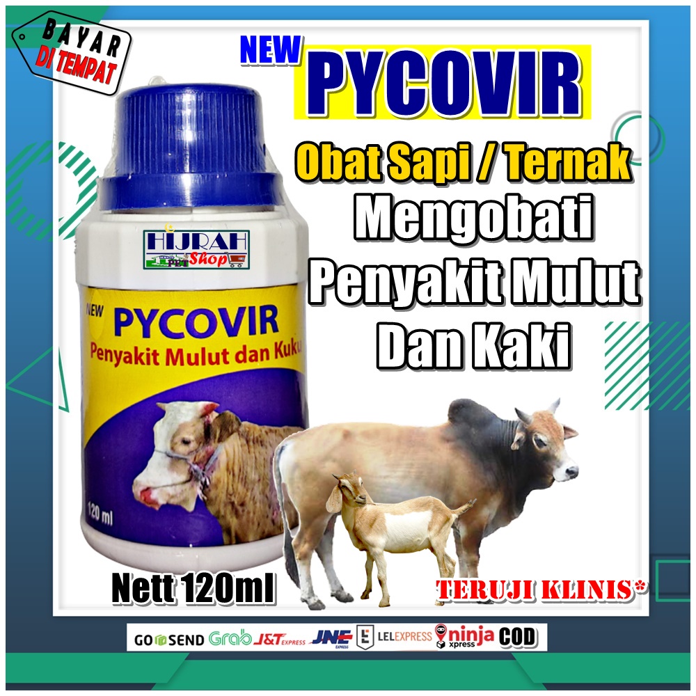 Jual Obat Sapi Obat Herbal Ternak Obat Ternak Obat Kambing Obat Hewan ...