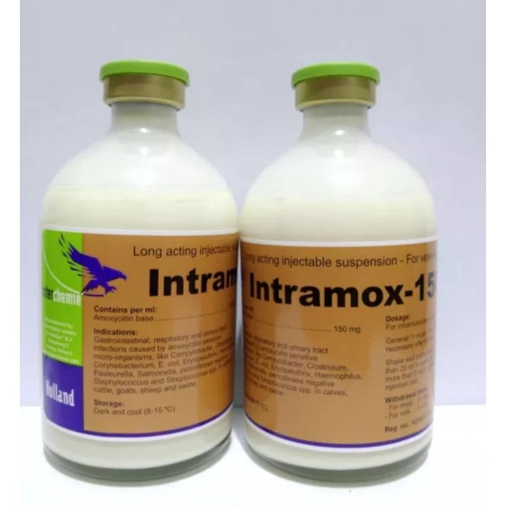 Jual INTRAMOX - 150 LA @ 100 ML KANDUNGAN AMOXYCILIN 150 MG | Shopee ...