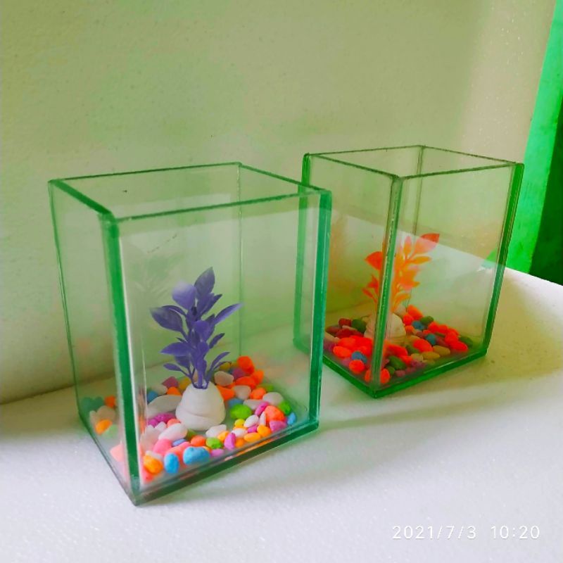 Jual Soliter ikan cupang 10×8×12 Aquarium ikan cupang ikan gupy 1set ...