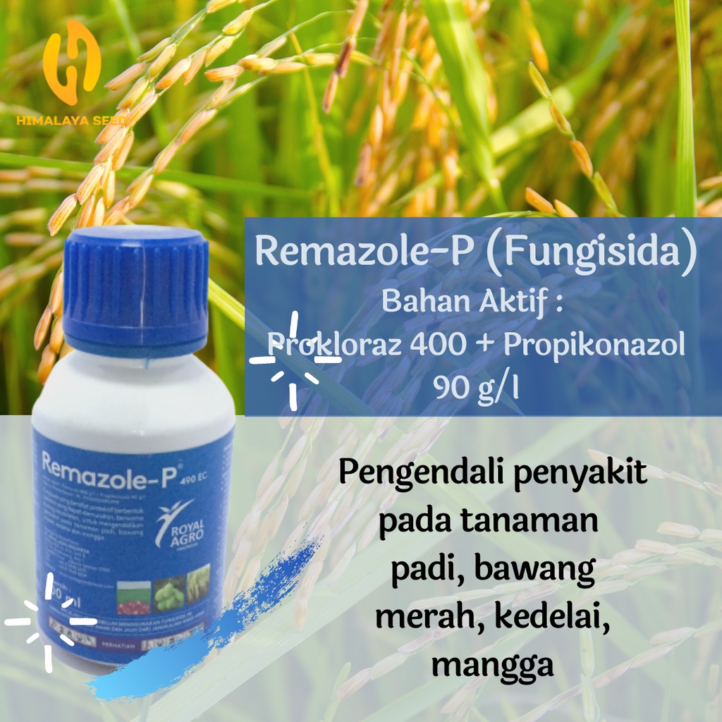 Jual Remazole-P Fungisida Pengendali Penyakit Padi, Bawang Merah ...
