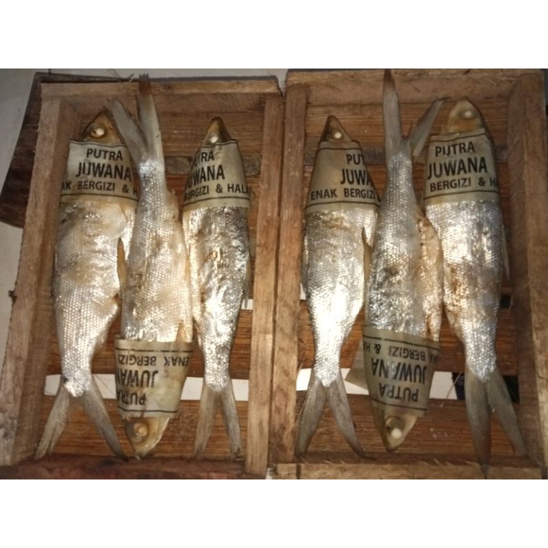 Jual Bandeng Presto Khas Juwana Duri Lunak Kemasan Vacuum Isi2 &3 ...