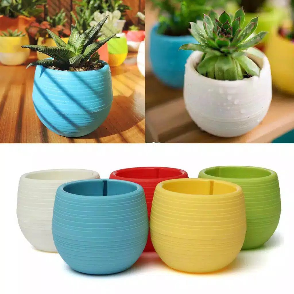 Jual Mini Pot Bunga / Pot Mini Tanaman Minimalis | Shopee Indonesia