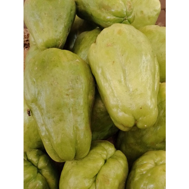 Jual MANISA ATAU LABU SIAM 500g-1kg | Shopee Indonesia