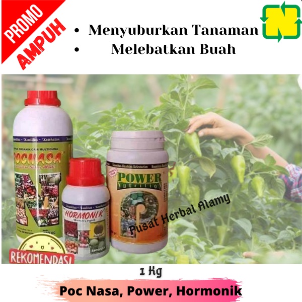 Jual Pupuk Pertanian Organik Nasa Pelebat Buah Poc Nasa 500cc, Power Nutrition 250 gram Hormonik ...