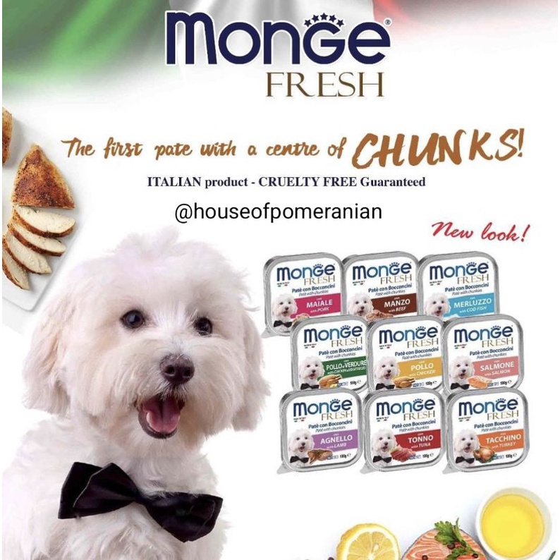 Jual MONGE FRESH 100gr dog wetfood makanan basah anjing made in italy ...