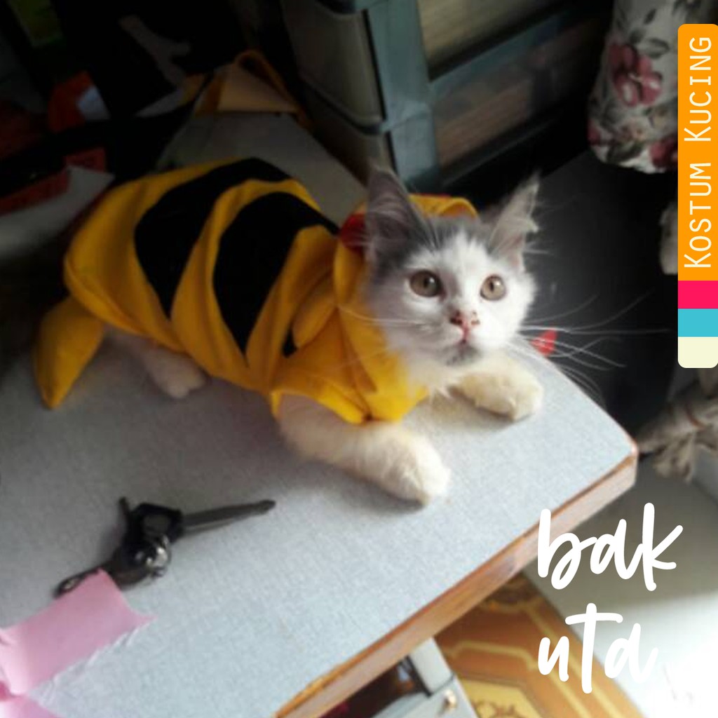 Jual Kostum pikachu untuk kucing anjing / baju kucing imut / kostum ...