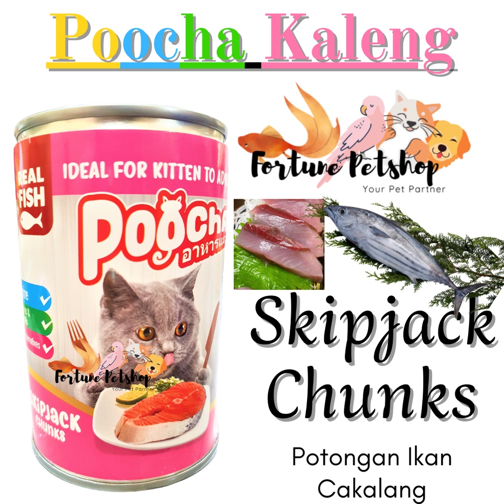 Jual POOCHA 400GR | PooCha Kaleng | All Life Stage - For Kitten And ...