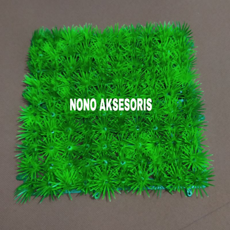 Jual rumput dasar hiasan Aquarium Aquascape akuarium 002 | Shopee Indonesia