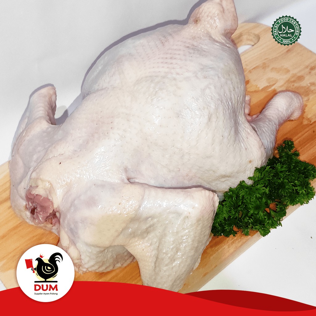 Jual Ayam Potong / Ayam Fresh / Ayam Broiler 0,75 - 1 kg | Shopee Indonesia