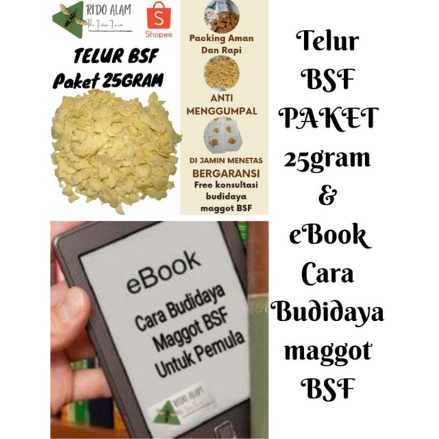 Jual Telur maggot bsf 25 gram dan cara budidaya maggot bsf telur lalat ...