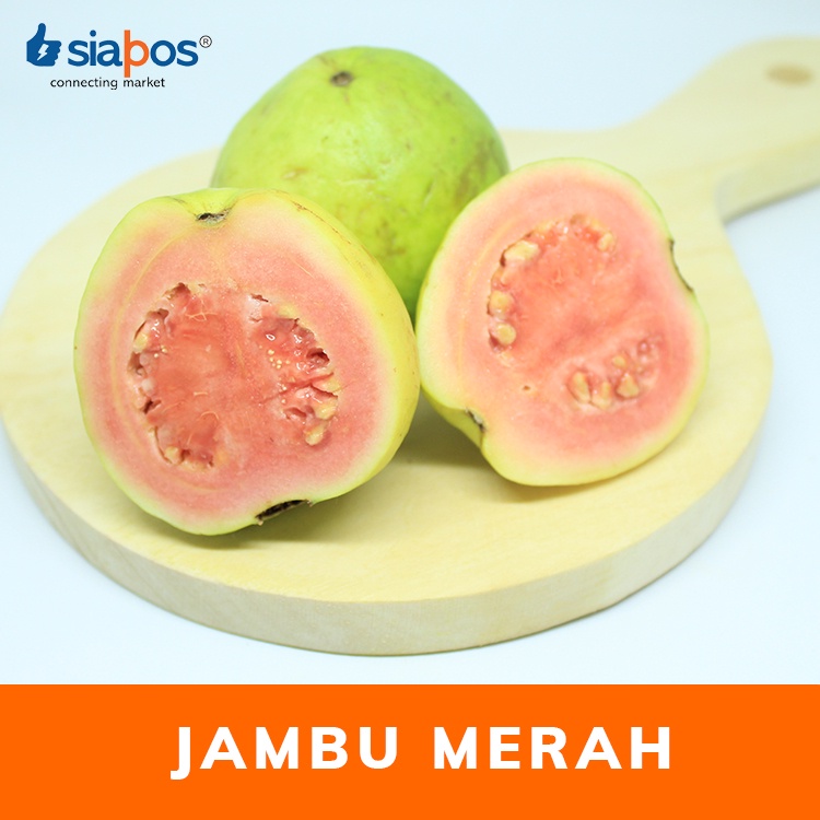 Jual Jambu batu merah /jambu batu segar | Shopee Indonesia
