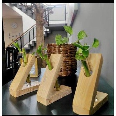 Jual pot bunga tabung reaksi dengan kayu jati belanda | Shopee Indonesia